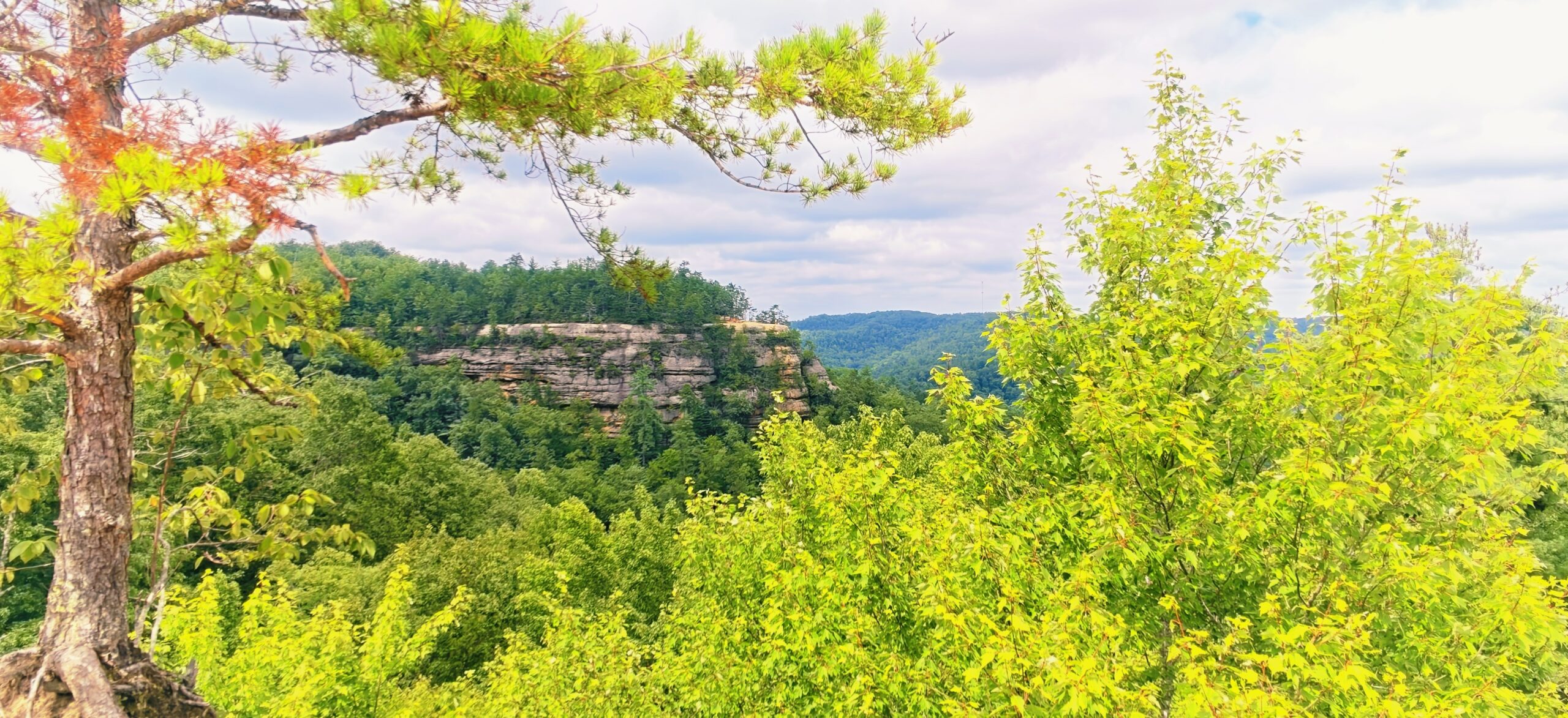 Natural Bridge State Park (Kentucky/USA) – 365 Magical World